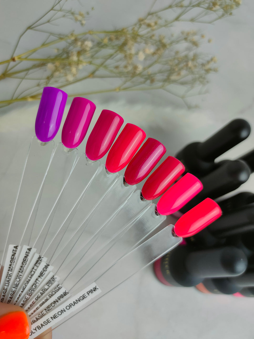 Outlet – Didier Lab HU